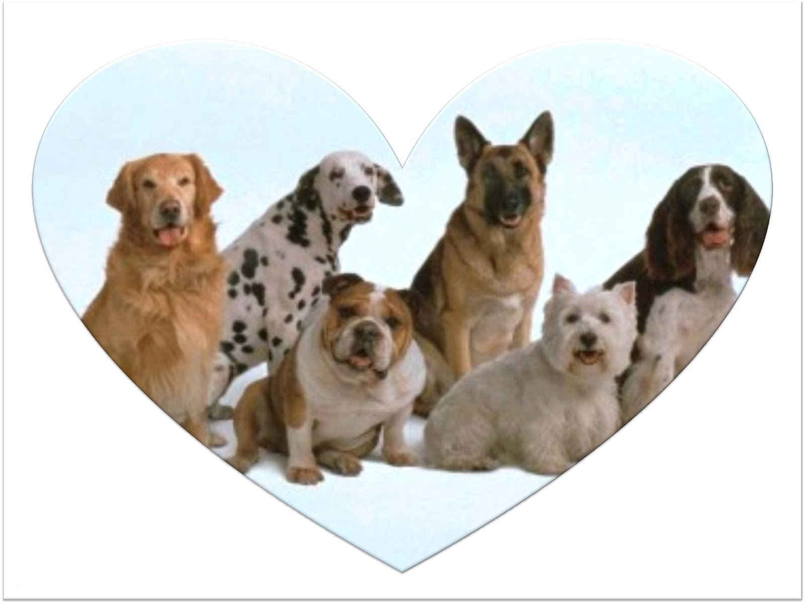 Perritos con corazones - Imagui