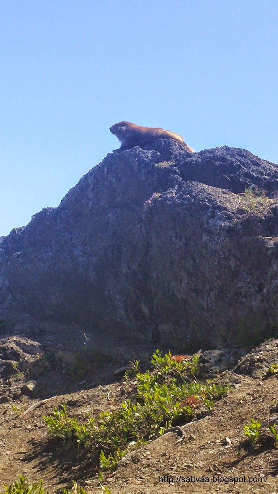 Sattvaa: Akki Sandige (Rice sandige) - home made and a pictorial