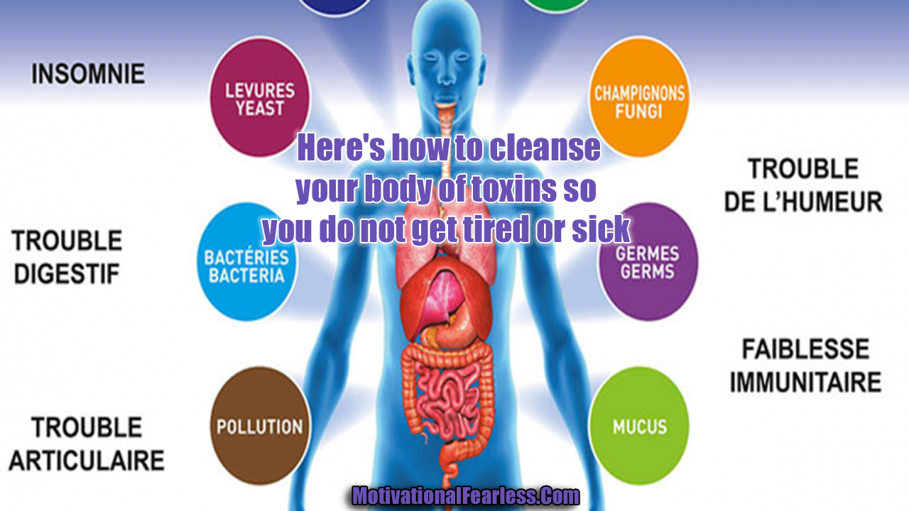 Here's how to cleanse your body of toxins so you do not get tired or ...