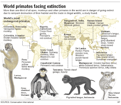 Species New to Science: Primates in Peril: The World's 25 Most ...