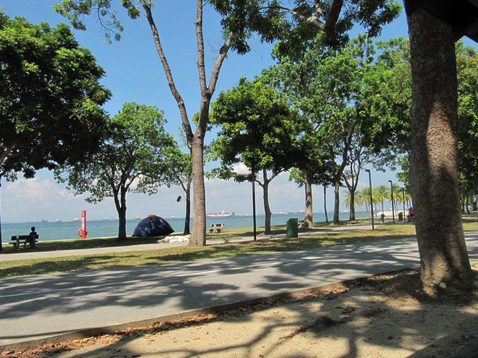 Geography holiday project: East Coast Park Coastal Studies