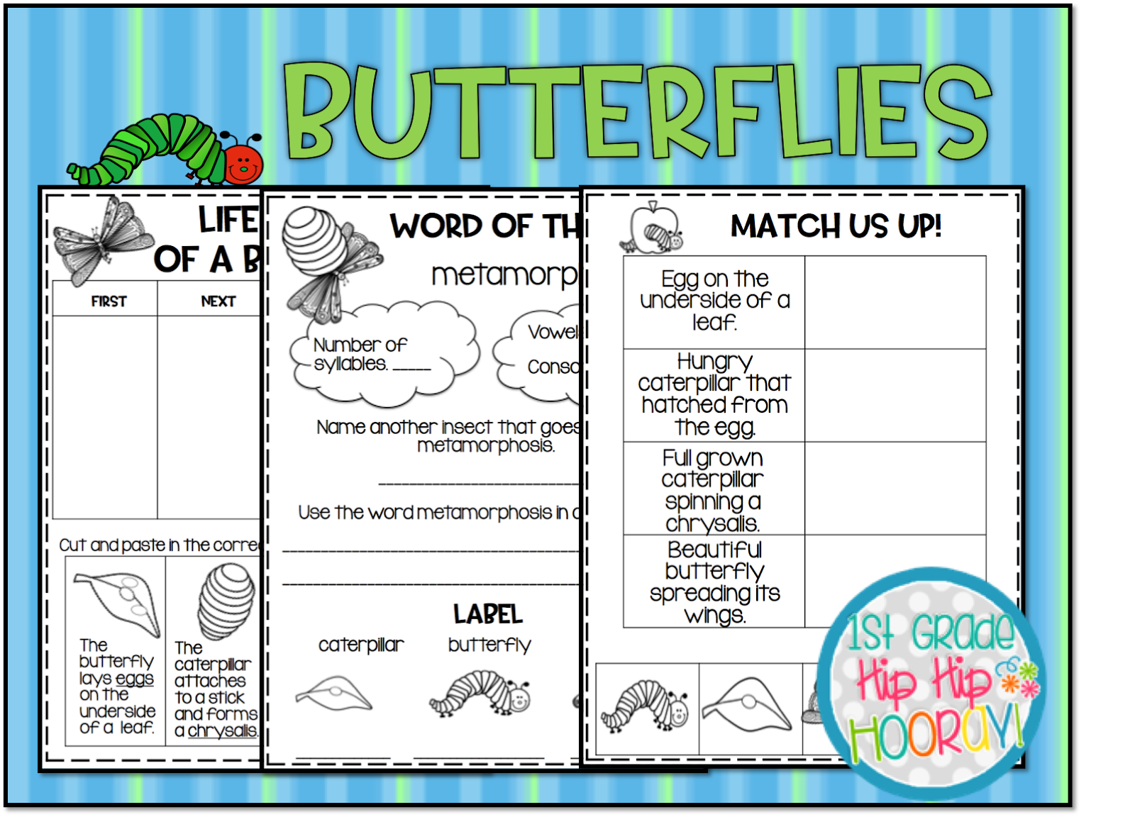 1st Grade Hip Hip Hooray!: Butterflies