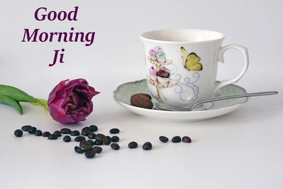 Top 10 Good Morning Ji Images greeting Pictures,Photos for Whatsapp ...