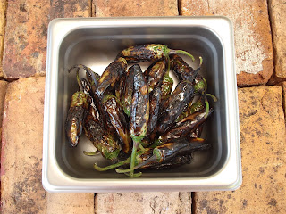 Te Toroa: the wandering albatross: Fire Roasted Serrano Chiles