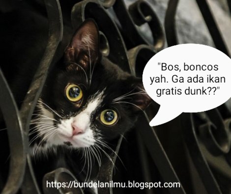 19 Meme Mancing Lucu Bikin Ngakak Satu RT - Beja-Beja Blog Inspirasi