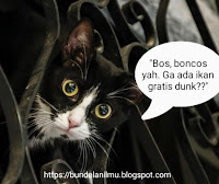 19 Meme Mancing Lucu Bikin Ngakak Satu RT - Beja-Beja Blog Inspirasi