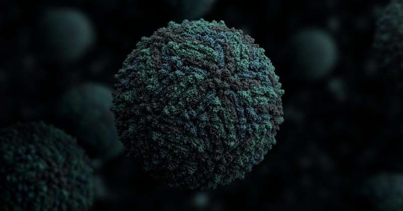 SALUD Y MEDICINA: La Enzima Natural Viperina tiene Efectos Antivirales