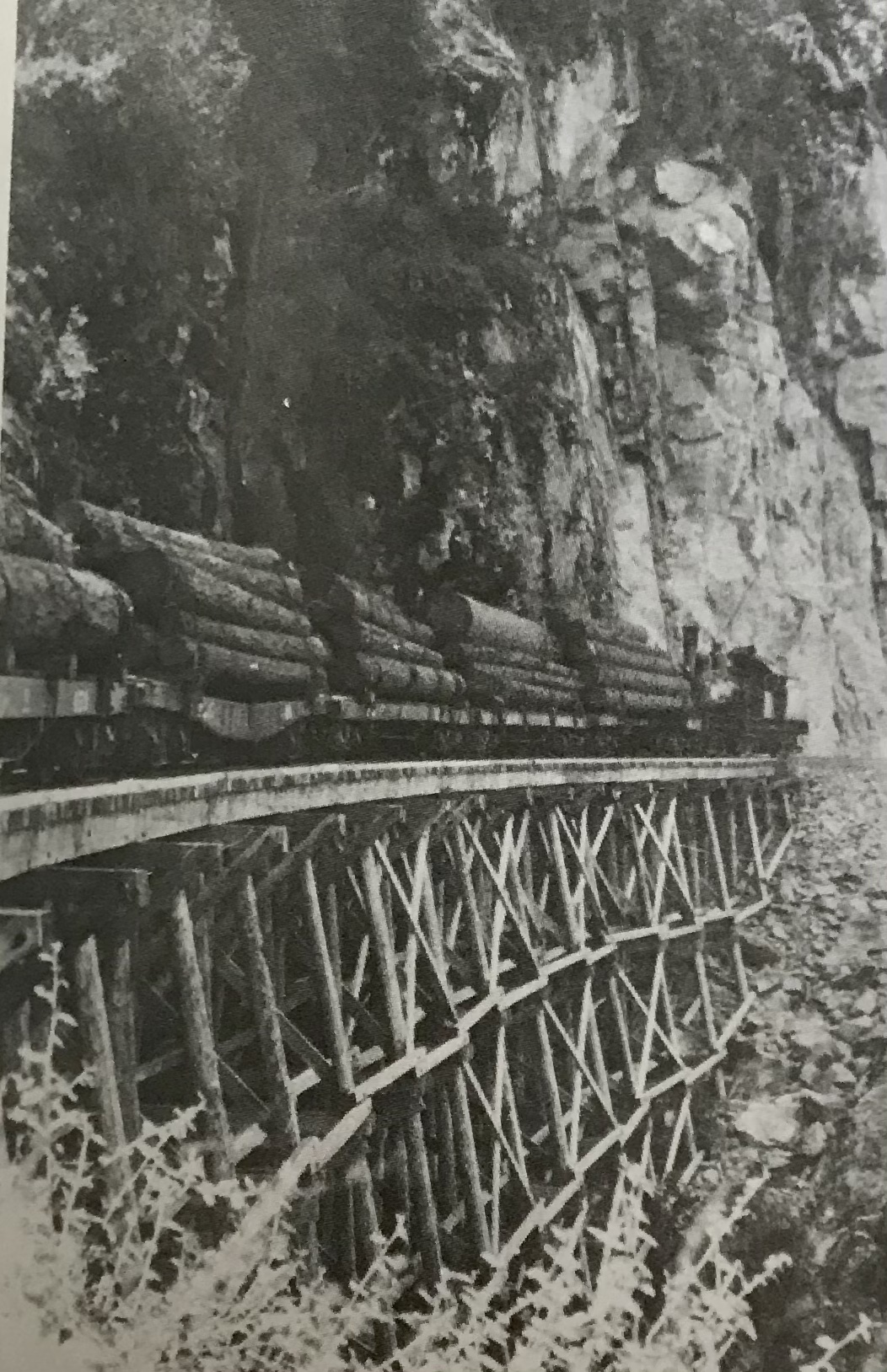 Modeling the Pickering/Madera/Sugarpine Lumber Co. Logging Railroads: 2021
