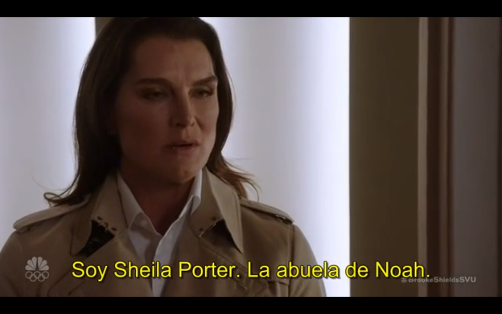 La Ley Y El Orden Uve 3x19