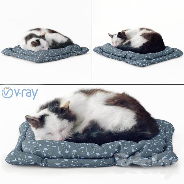 1. Cat free sketchup model