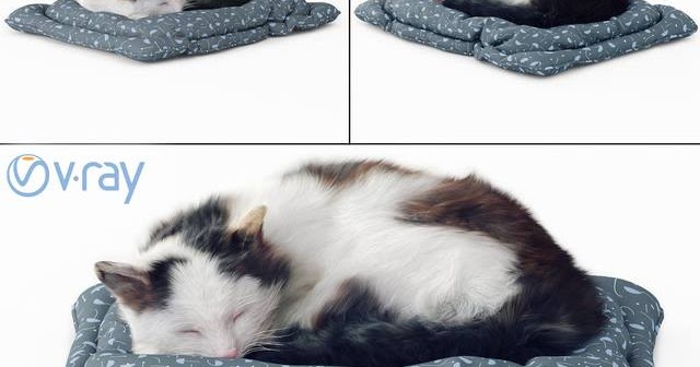 1. Cat free sketchup model