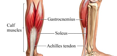 UNDERSTANDING CALF MUSCLE STRAIN