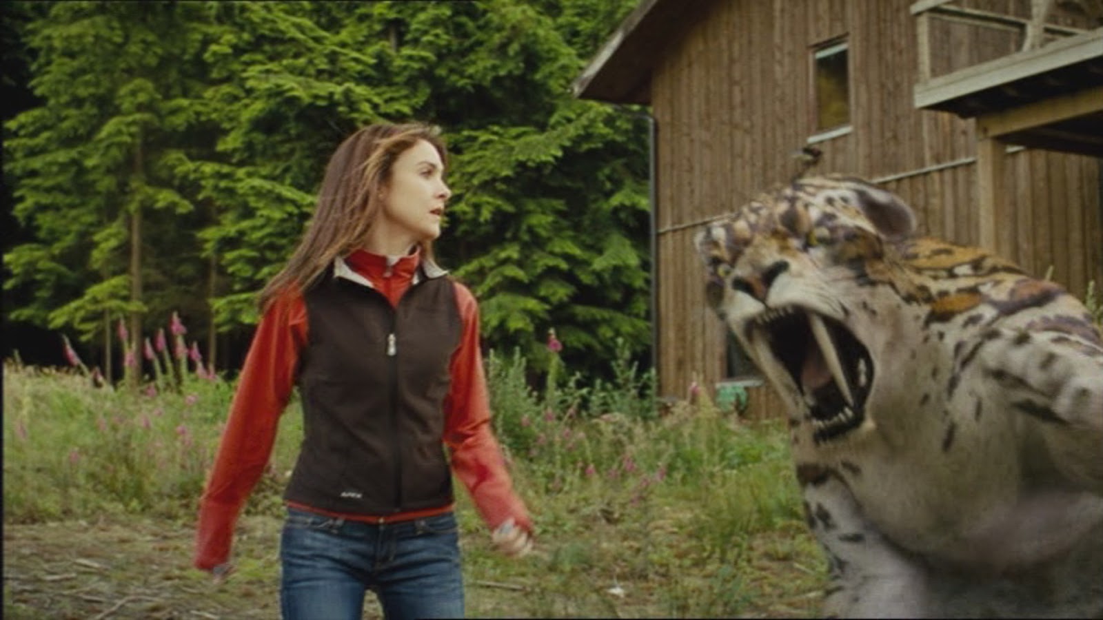 John Kenneth Muir's Reflections on Cult Movies and Classic TV: The Cult ...