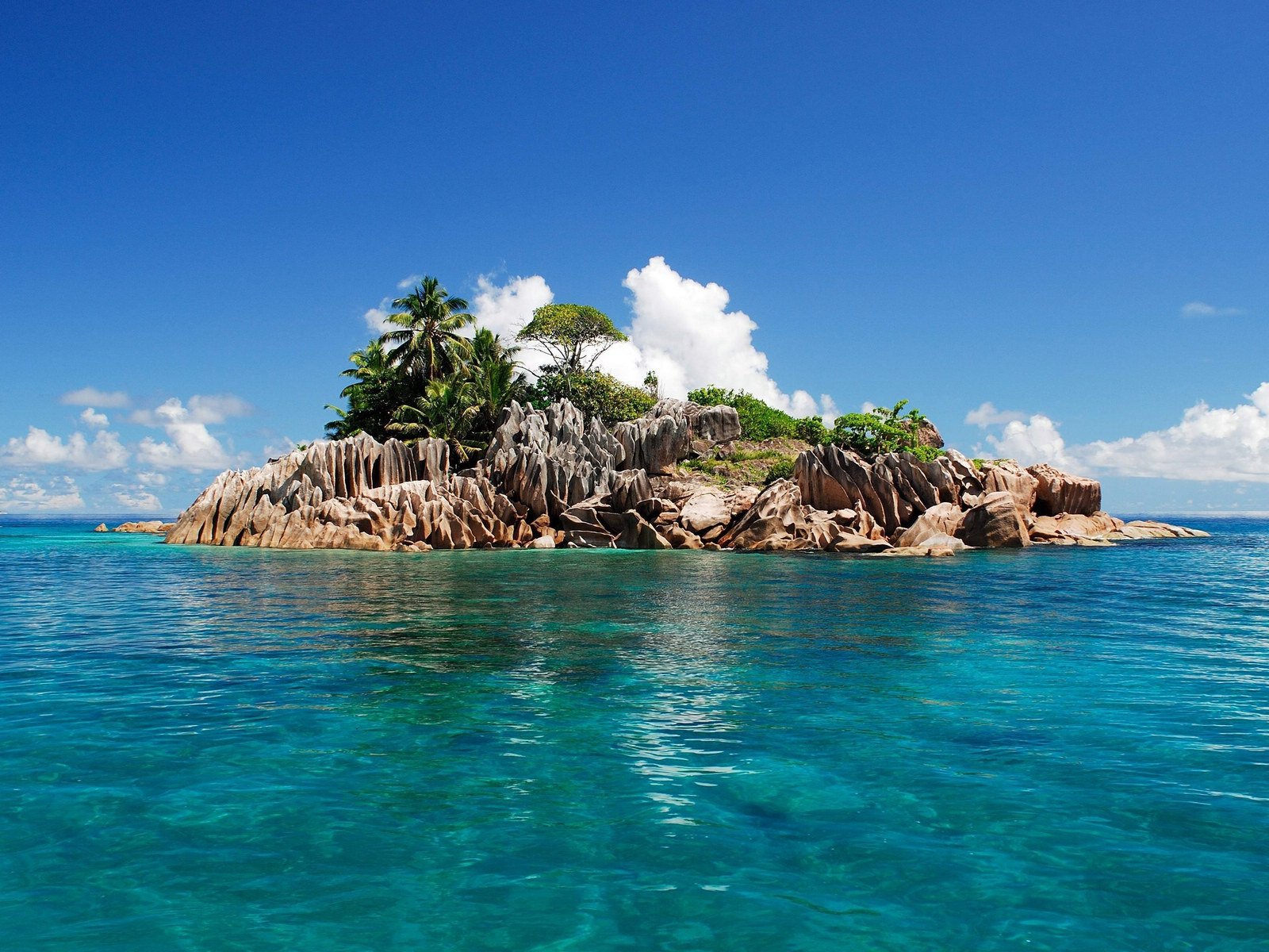 Natural 100Walls: Seychelles island natural scenery