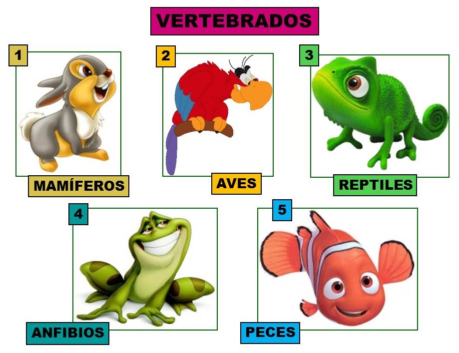 El Monstruito en Monteagudo: Vertebrados-I. Mamíferos.