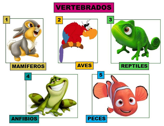 El Monstruito en Monteagudo: Vertebrados-I. Mamíferos.
