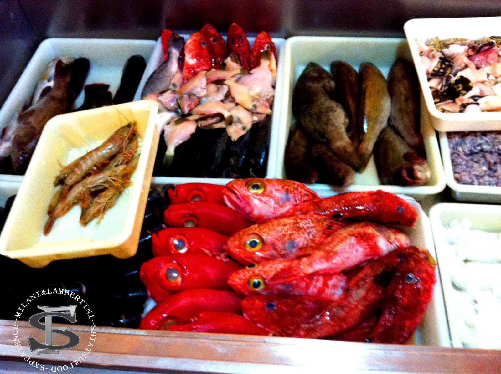 SHIATSU & FOOD EXPERIENCE : TOUR GASTRONOMICO TENERIFE - 1° Parte