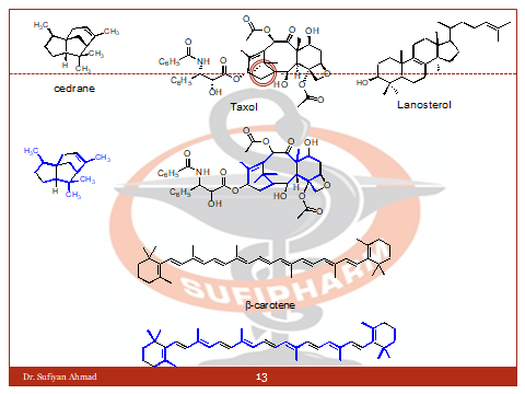 Acetate Pathway I Pharmacognosy and Phytochemistry (T. Y. B. Pharm Sem ...