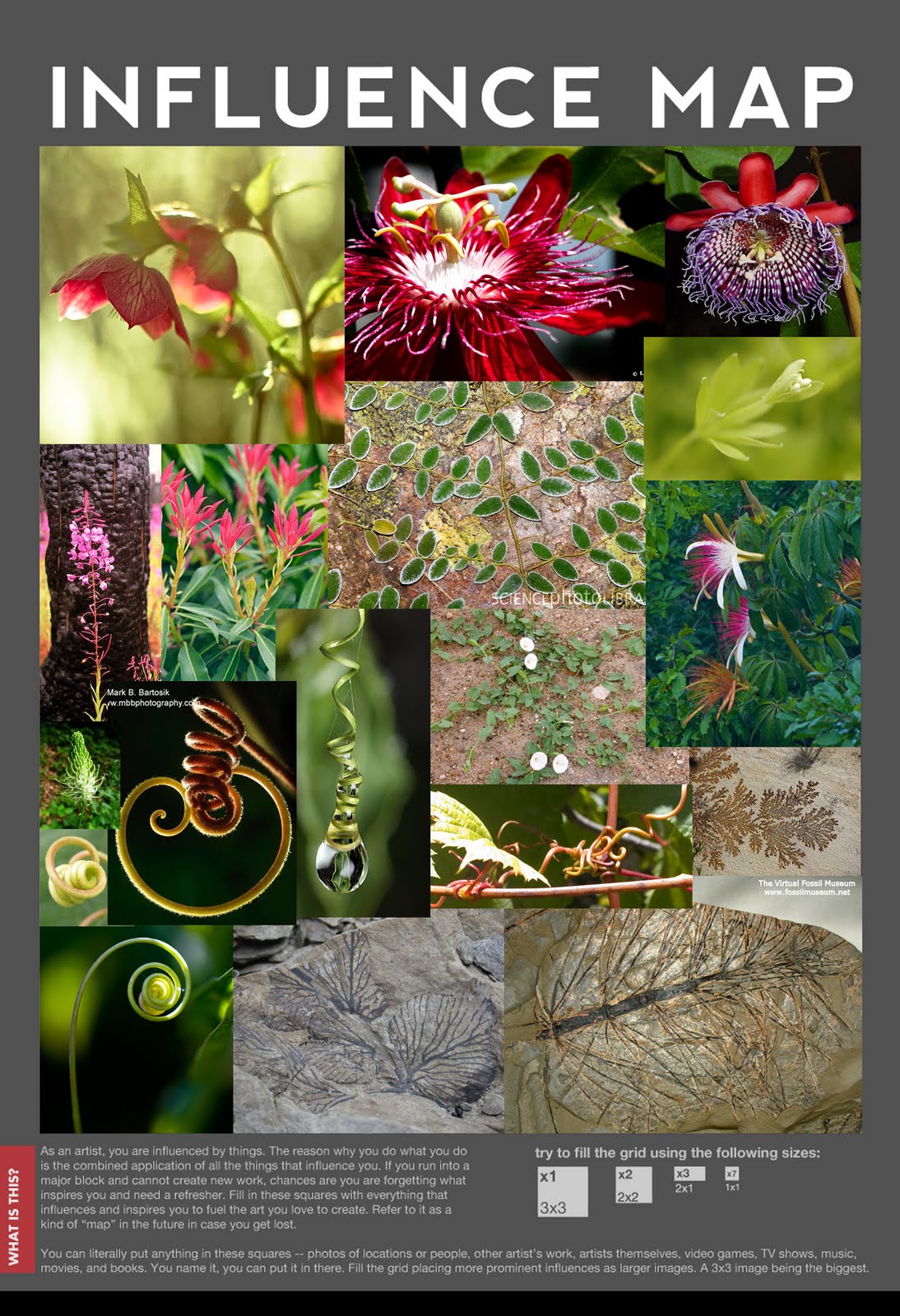 Molly's Art Blog: Influence Maps...