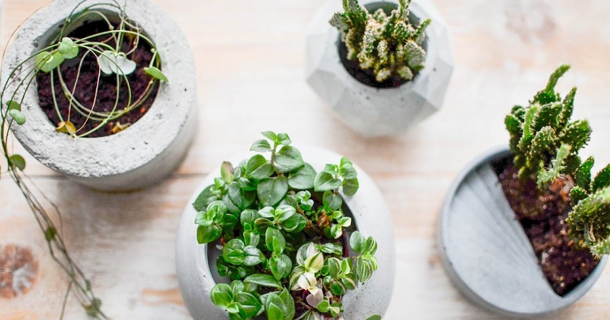 5 Cara Membuat Pot Kreatif, Mudah, dan Sederhana - Teknoto Terbaru