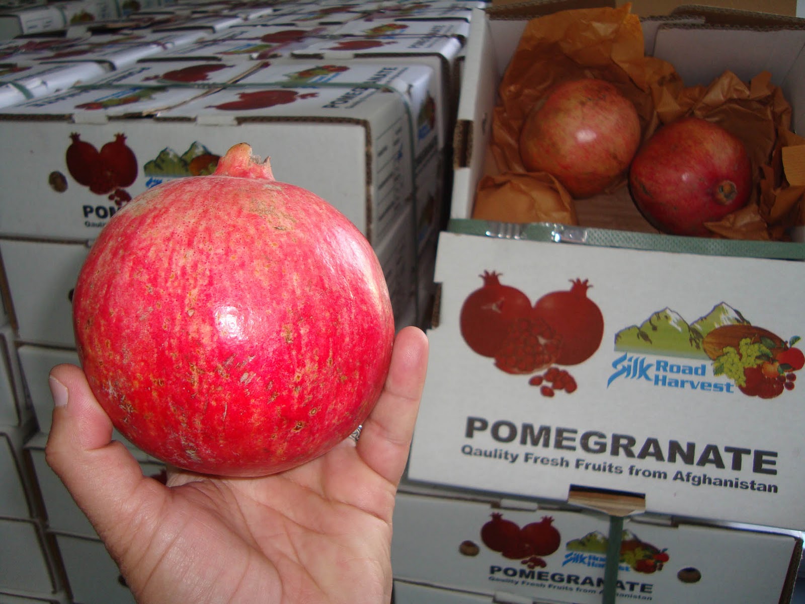Pashtun Valley: Afghani Fruits