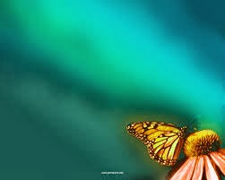 begron powerpoint: begron powerpoint