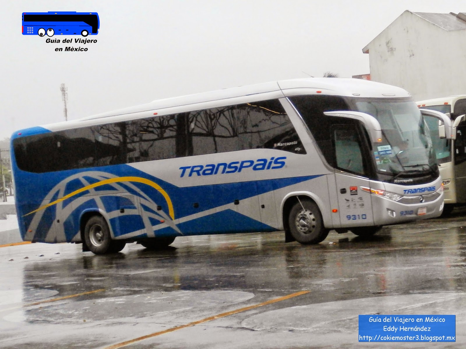 La Nueva Guia del Viajero en Mexico: Transportes Transpais