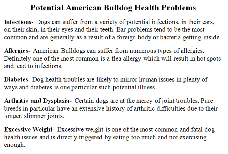 Bulldog diet – Potential Bulldog Health Problems: | better1of