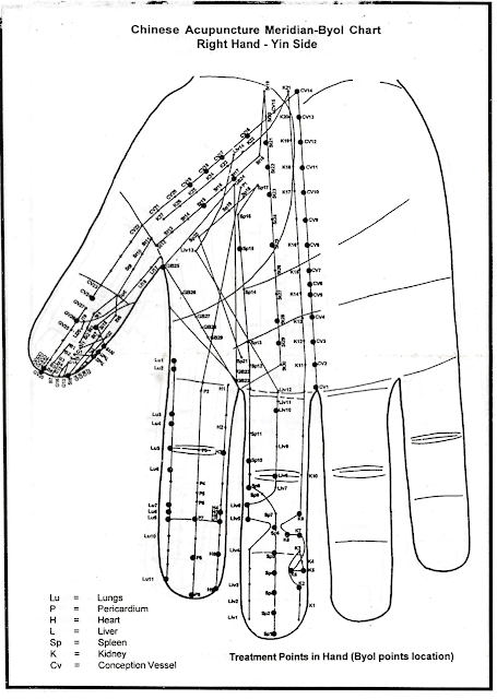 SujokTherapy Zone: Meridian Chart