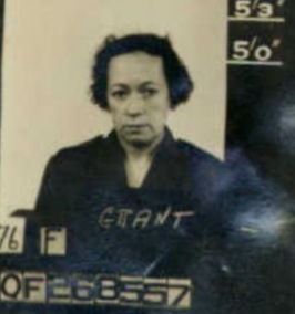 Bribie Island History: E E I Grant QF268557