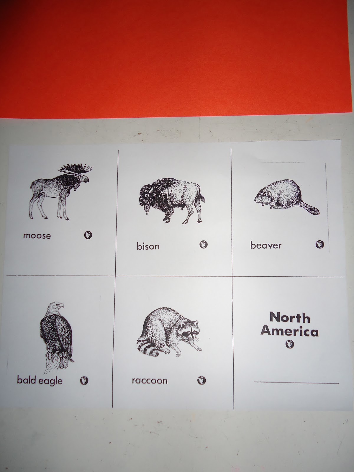 To the Lesson!: Animals of North America