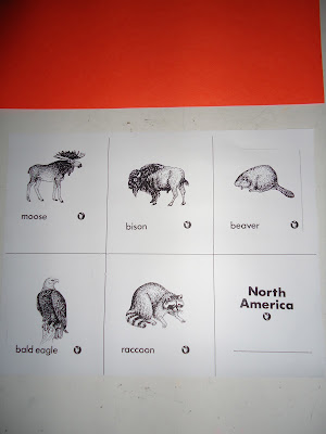 To the Lesson!: Animals of North America