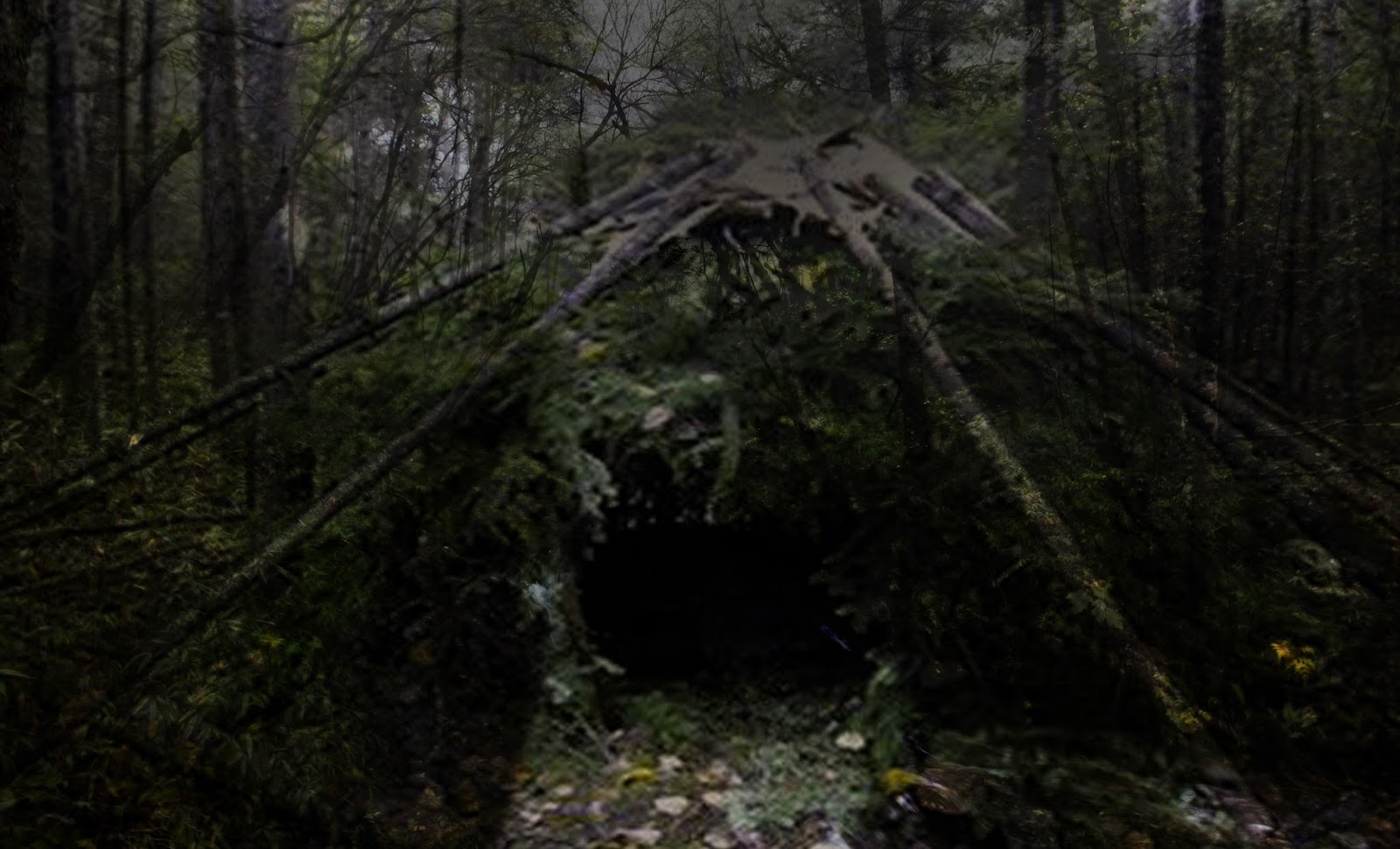 How to get the best wilderness survival food without risking your ...