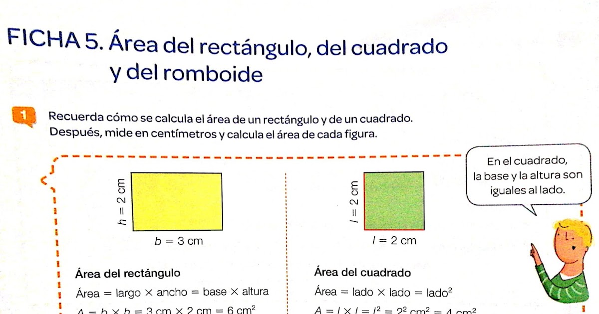 La ventana de 6º A: Área del rectángulo, del cuadrado y del romboide