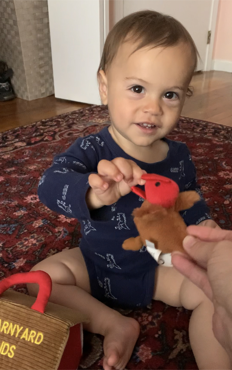 Baby Talk... the universal undecipherable language