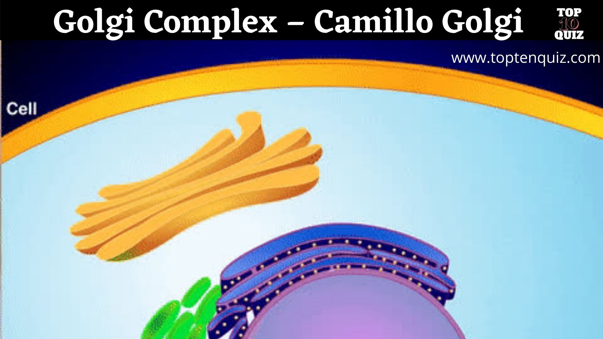 101 Biological Science Inventions and Discoveries (Part 1)