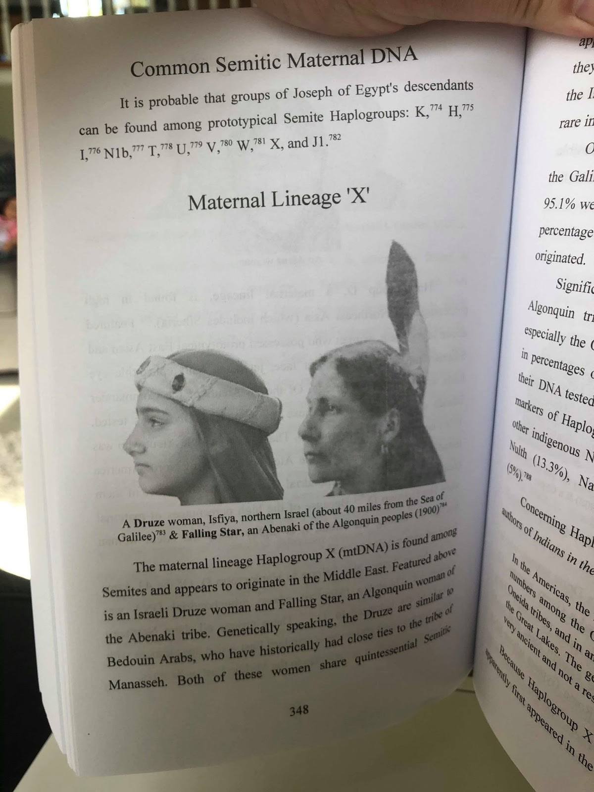 Stand a Little Taller: Ancient Israelites in North America - A Look at DNA!