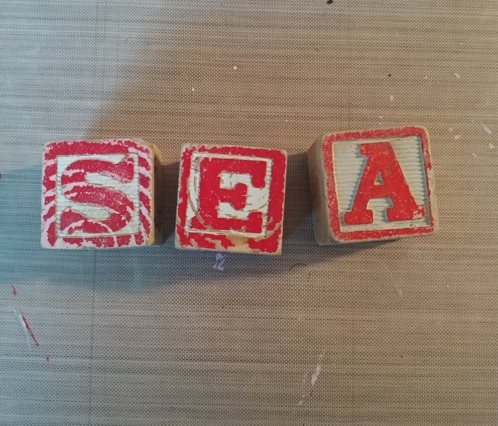 Upcycled Divided Tray to Beach Themed Shadow Box - Little Vintage Cottage