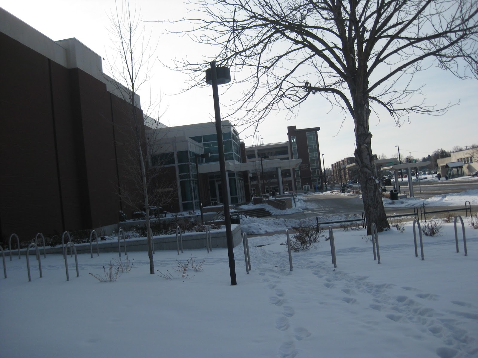 Living My American Dream: The Boise State University campus