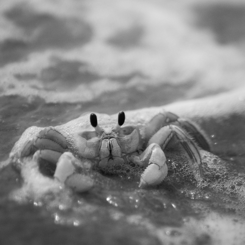 Beach Days on 591 ~ Anne Berry