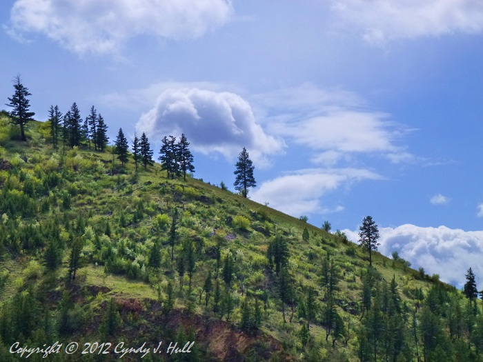 Montana 1 a day.com: Mount Sentinel Backside, Missoula, Montana