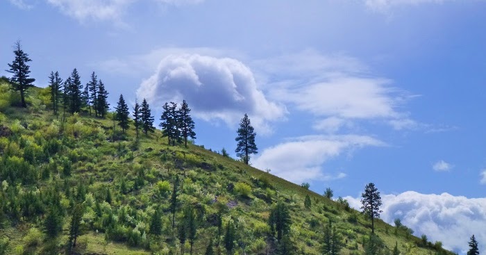 Montana 1 a day.com: Mount Sentinel Backside, Missoula, Montana