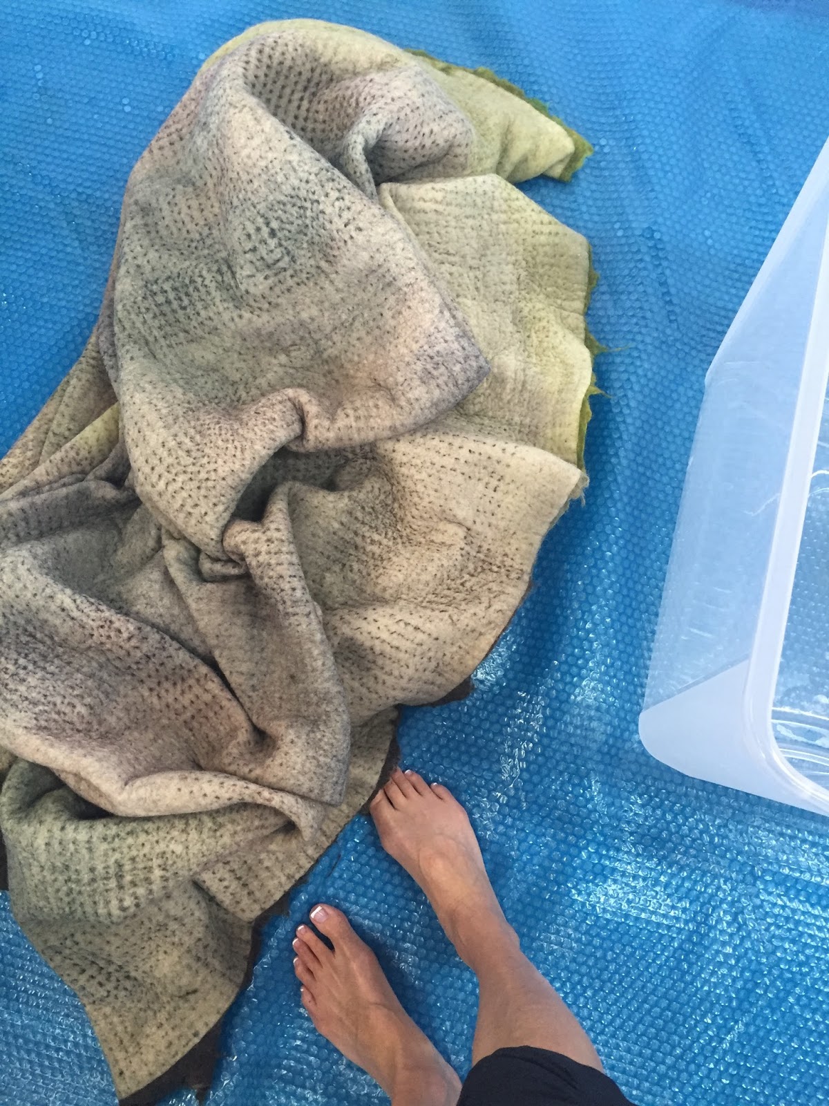 ANDREA GRAHAM : A few days progress...