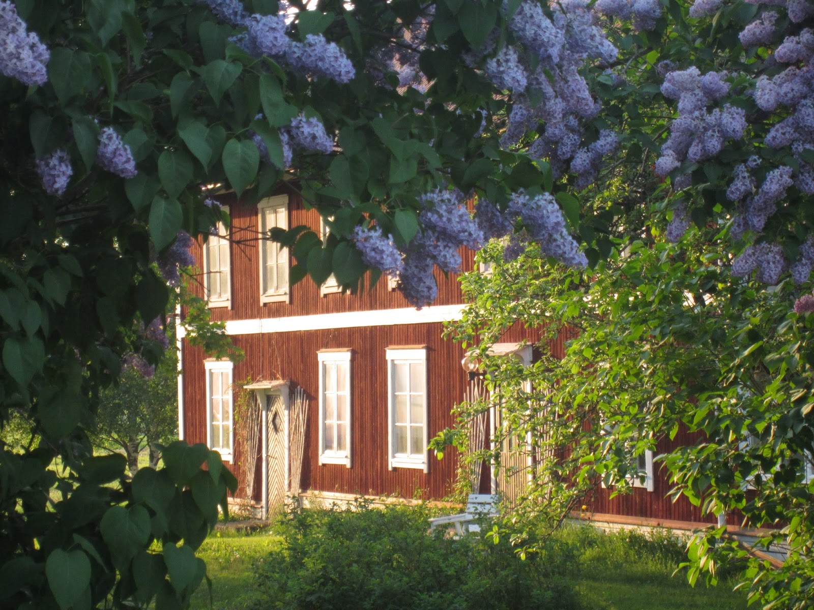 ROSLAGSSTOPPET: Gimo IF - IK Hinden 6-2 (2-1) Alunda IF - Almo BK 0-2 (0-1)