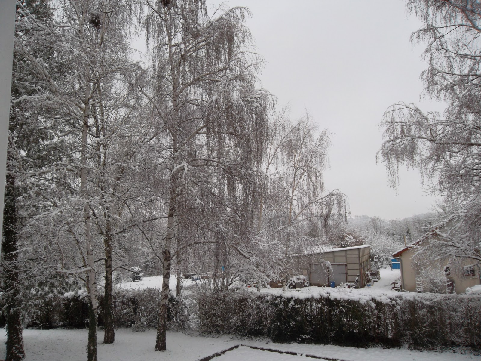 Fabulously French: Snow in France