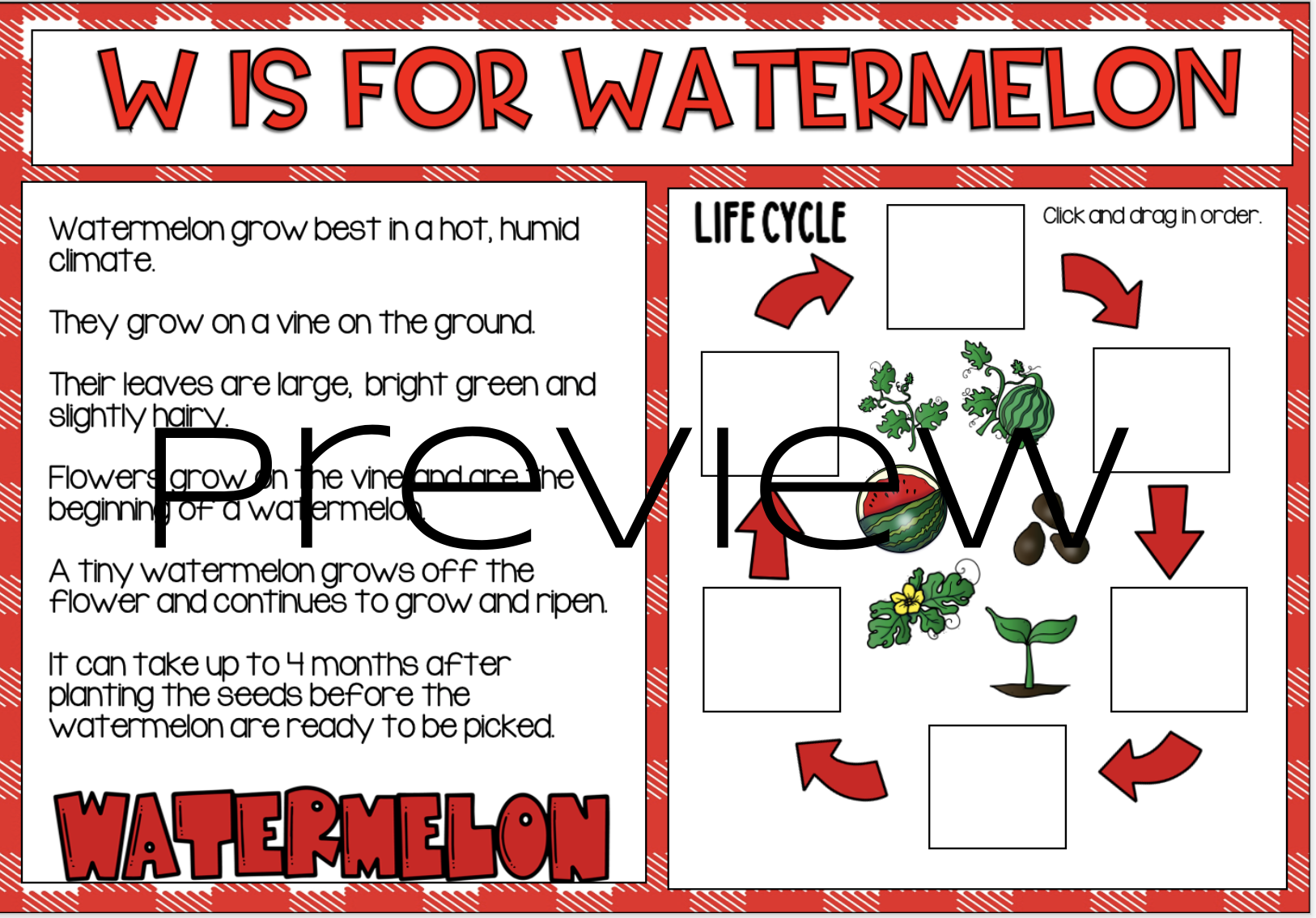 1st Grade Hip Hip Hooray!: Ww is for Watermelon...ABC Countdown to Summer