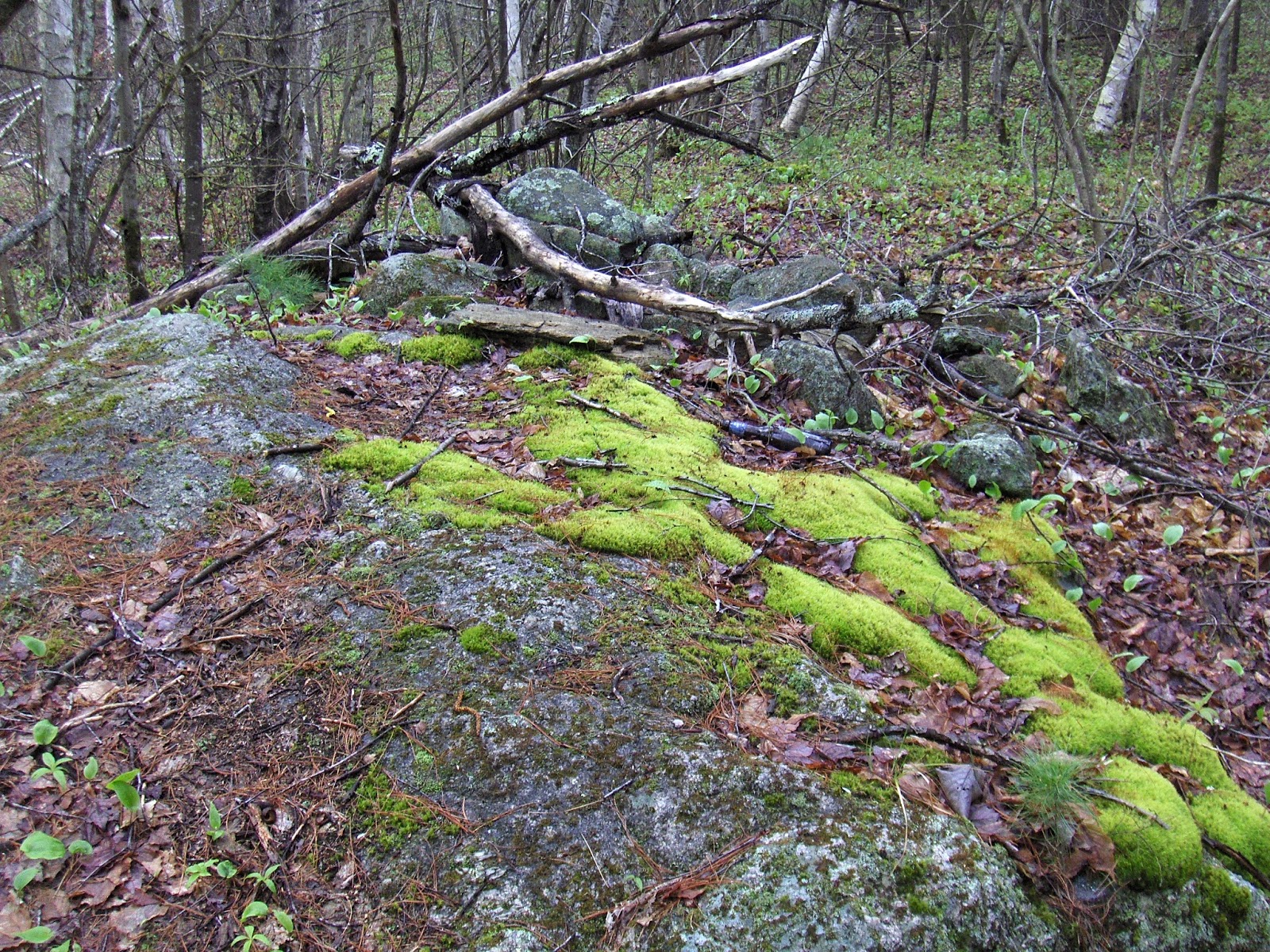 Rock Piles: Foot of Blodgett Hill - Merrimack NH