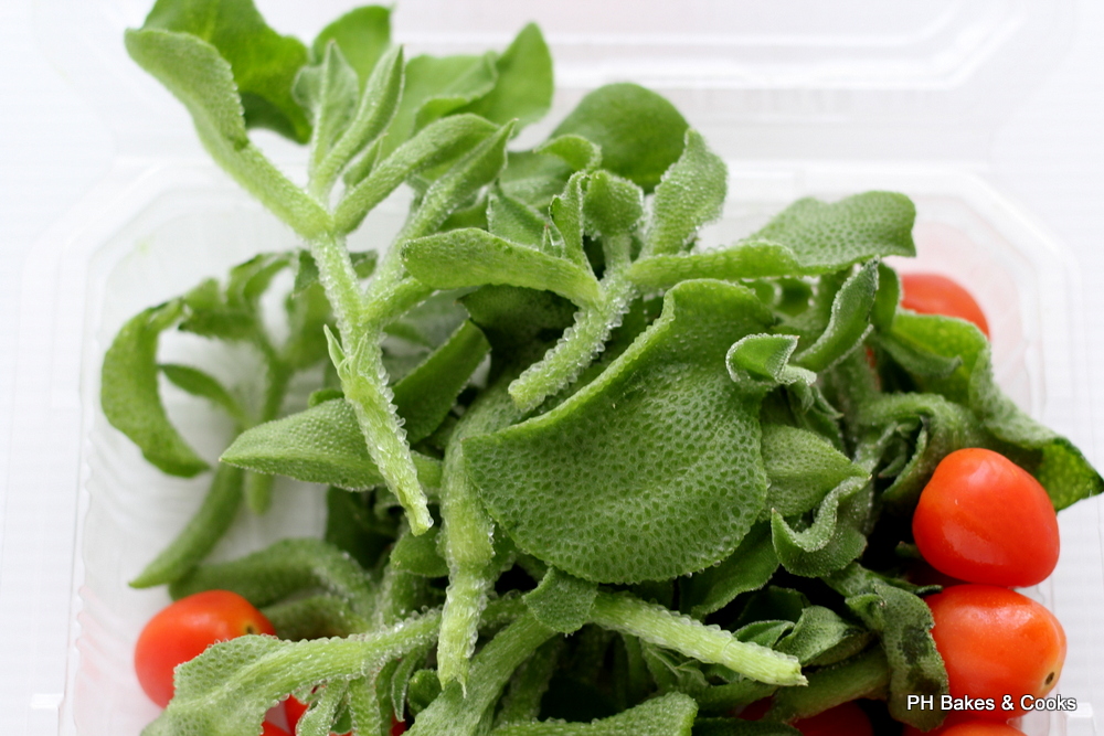 PH the Malaysian Carnivore: Ice Ice Veggie