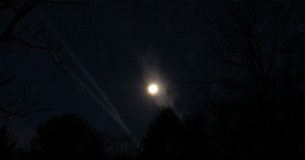 Anne's Creative Cornucopia: Moon Rays - Photograph