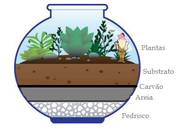 Ciências - Prof. Helena: Atividade prática: Terrário